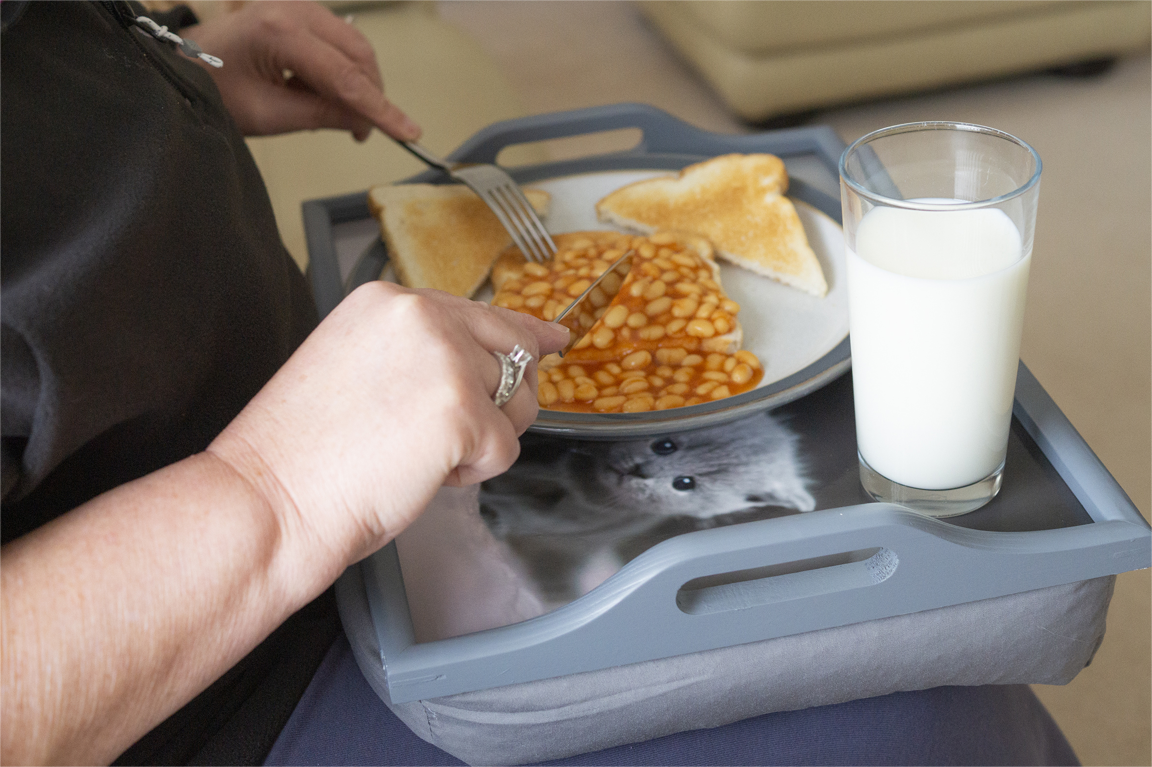 Schootdienblad | Schoot dienblad Kittens | Schoottafel met kussen